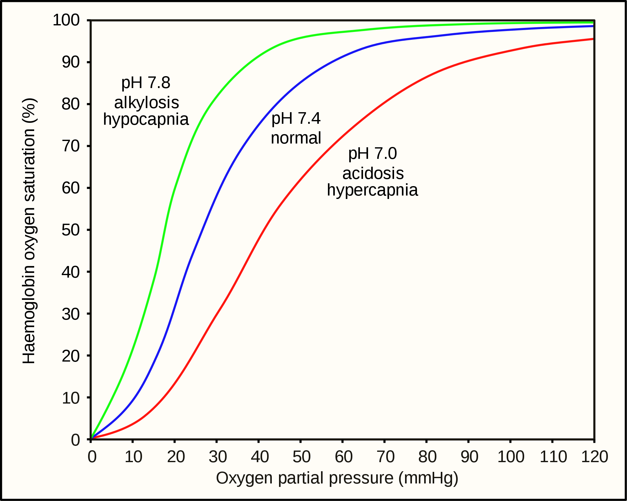 Oxygen Supply And Cell Growth at Donald Altman blog