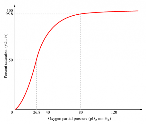 Oxygen Transport - Haemoglobin - Bohr Shift - TeachMePhysiology