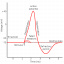 The Action Potential - TeachMePhysiology