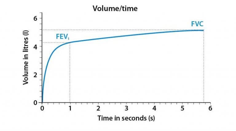 Lung Volumes & Capacities - Respiratory - TeachMePhysiology
