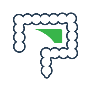 Gastrointestinal System - TeachMePhysiology