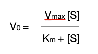 Enzyme Kinetics - Structure - Function - Michaelis-Menten Kinetics